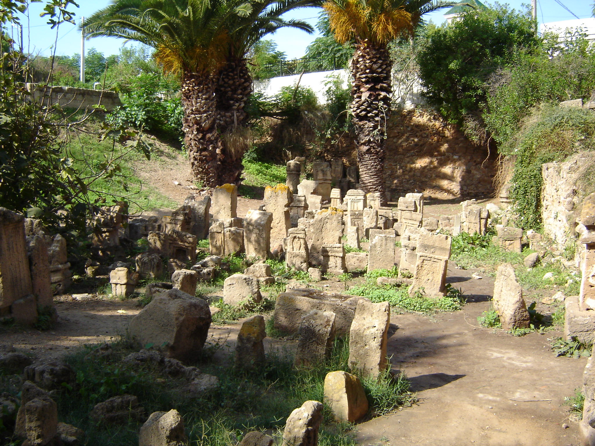 Did The Canaanites Really Sacrifice Their Children? | Bible Reading ...